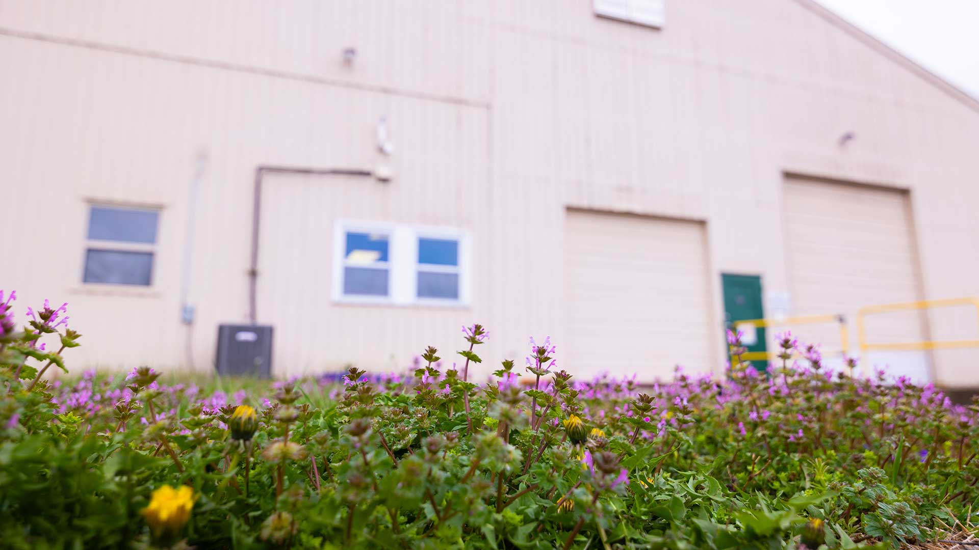 FAQ - Douglas Production Technologies